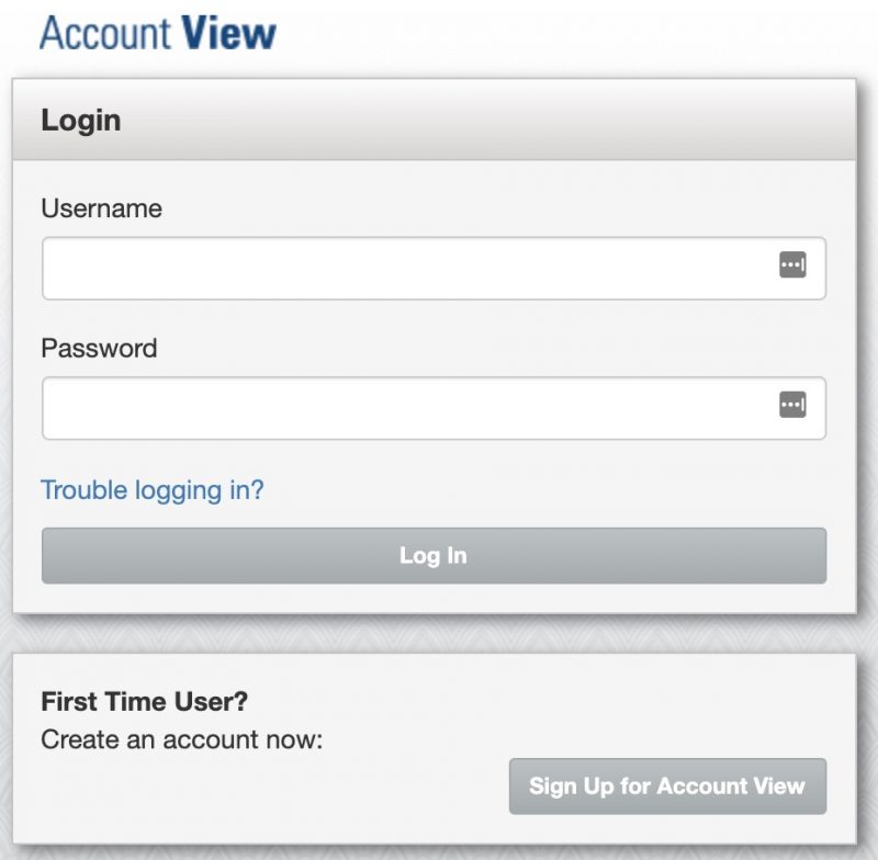 Account View Explained – Souza Financial Group