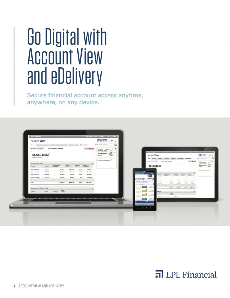 Account View Explained – Souza Financial Group